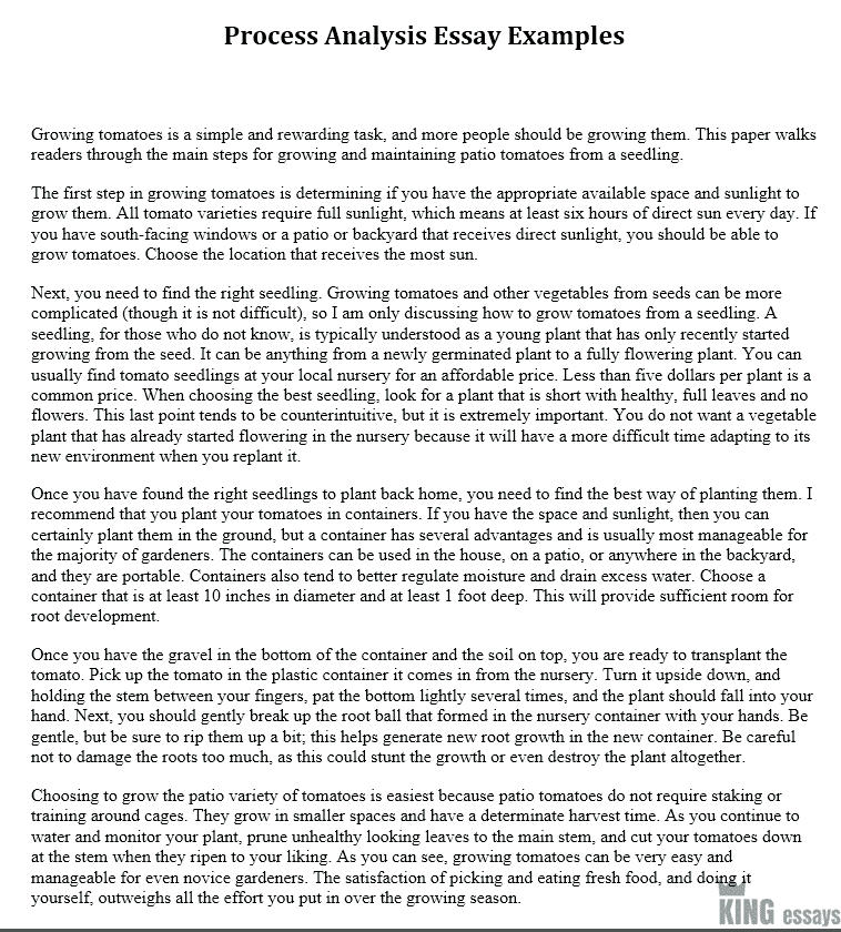 Write Process Analysis Essay Examples ~ Resume Letter