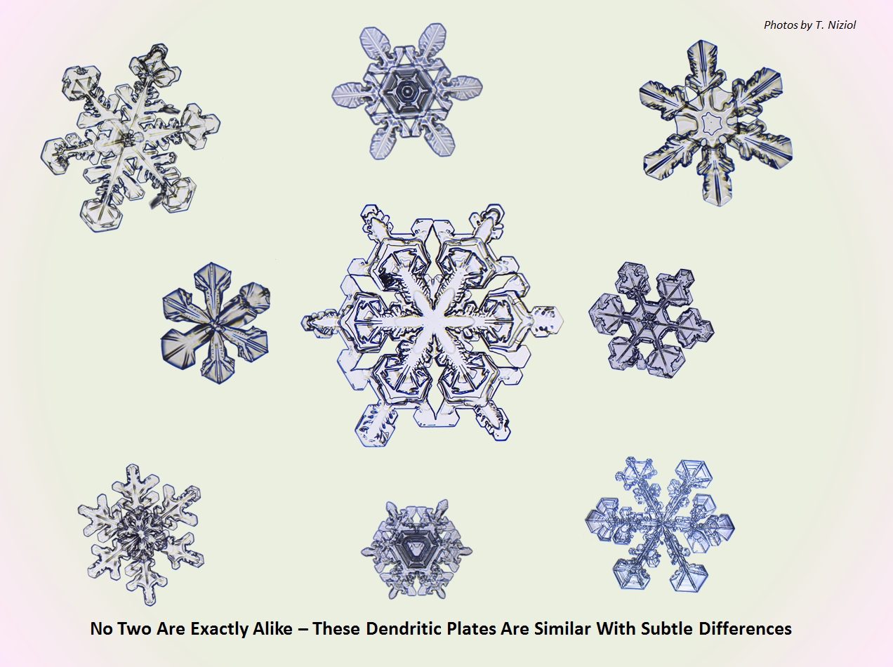 The Weather Around Us: Photographing Snow Crystals - On A Budget