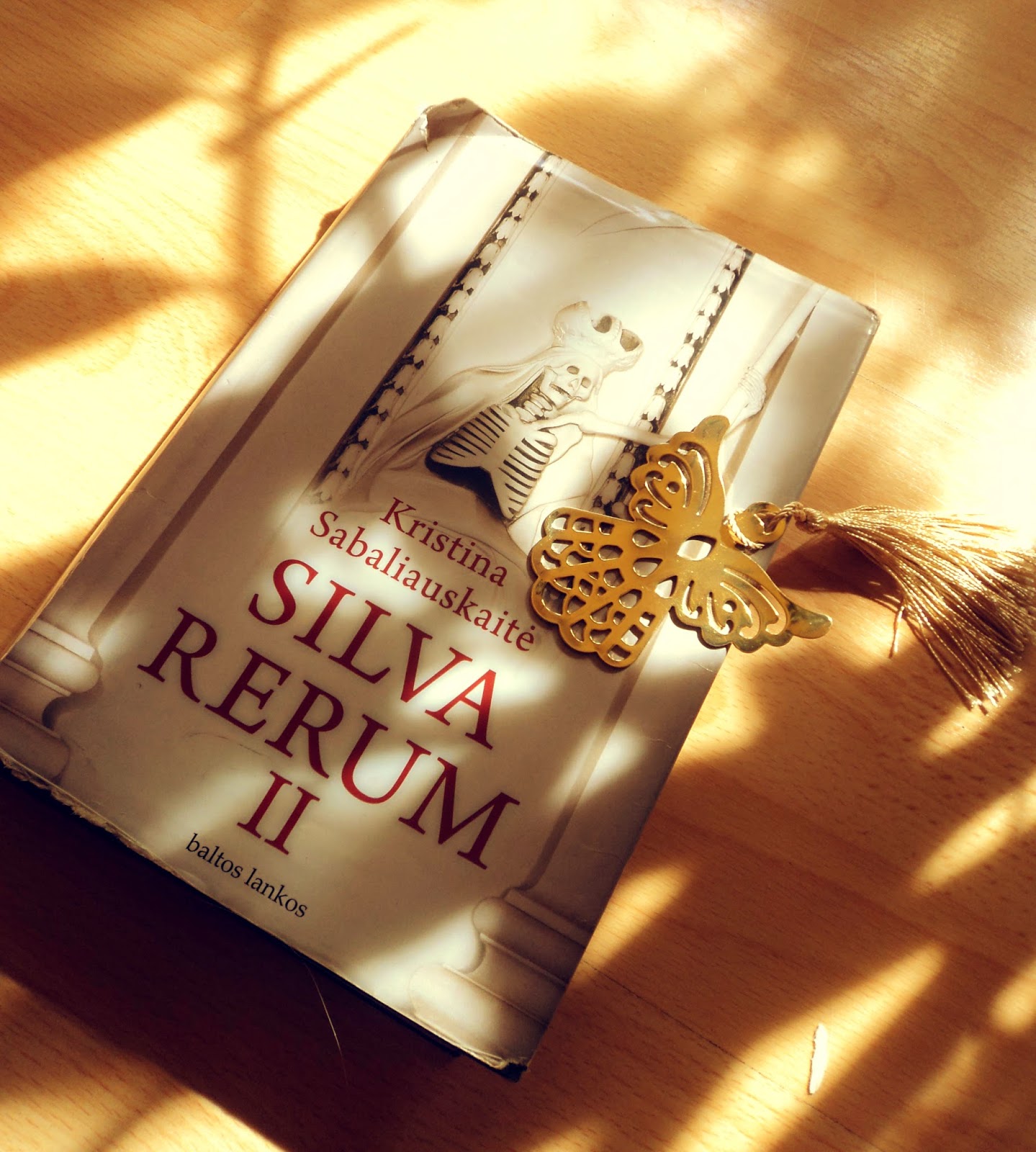 Kristina Sabaliauskaitė „Silva Rerum II“