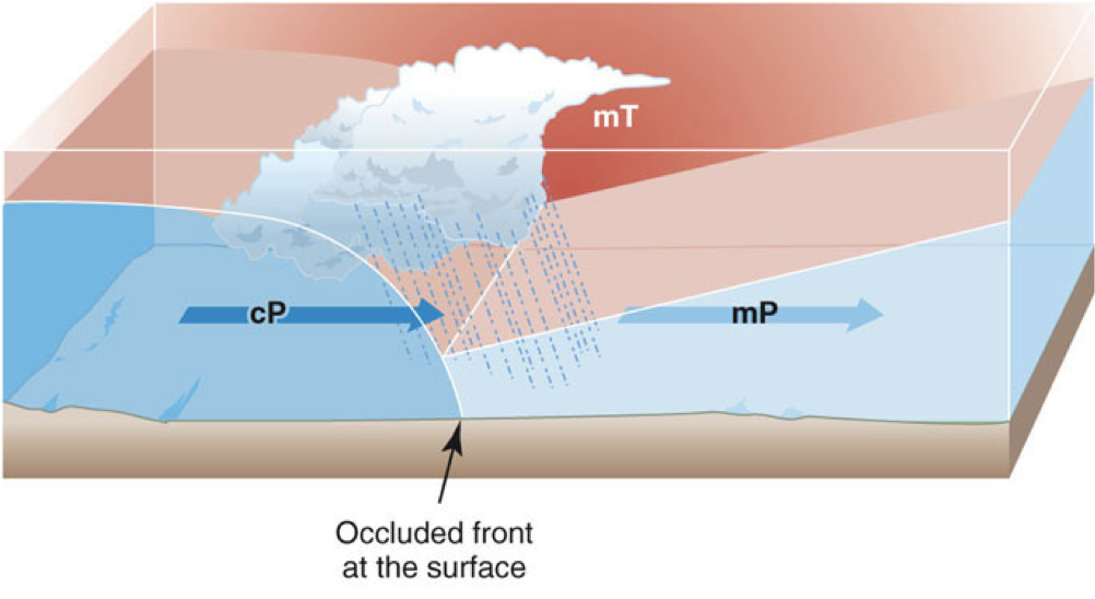 Head in the Clouds: 101: Norwegian Polar Front Cyclone Model