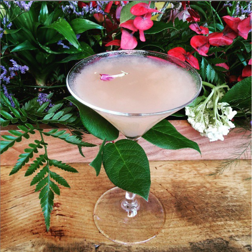 CT Cocktails: The Foragers Tipple Martini Cocktail at Barley Vine in ...