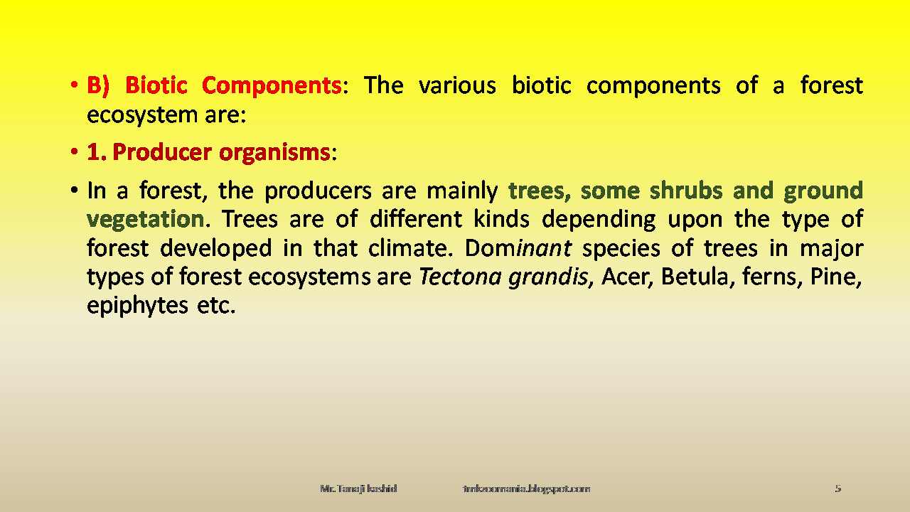 tmkzoomania: Forest Ecosystem : an example of terrestrial ecosystem