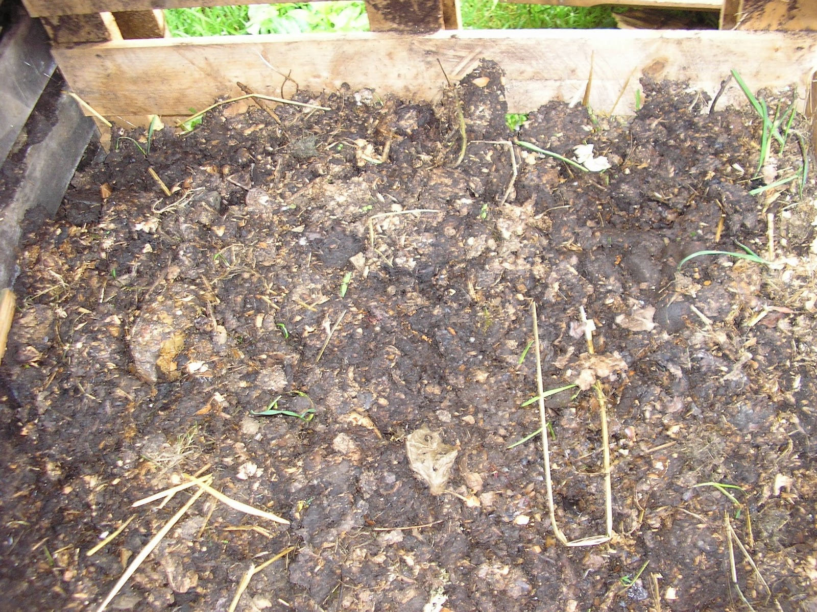 Grow your own vegetables sustainably using organic principles then ...