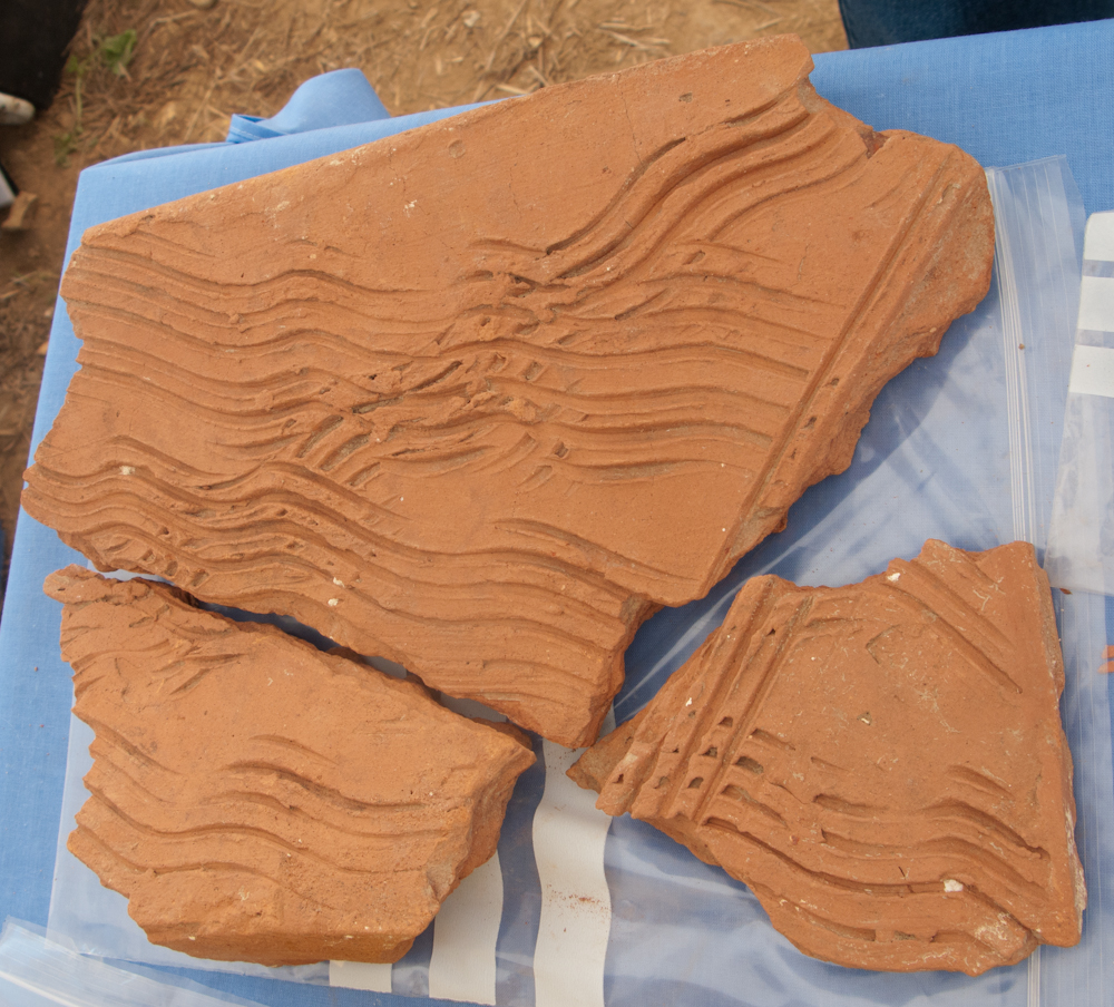 Postcards from Sussex: West Sussex Roman dig