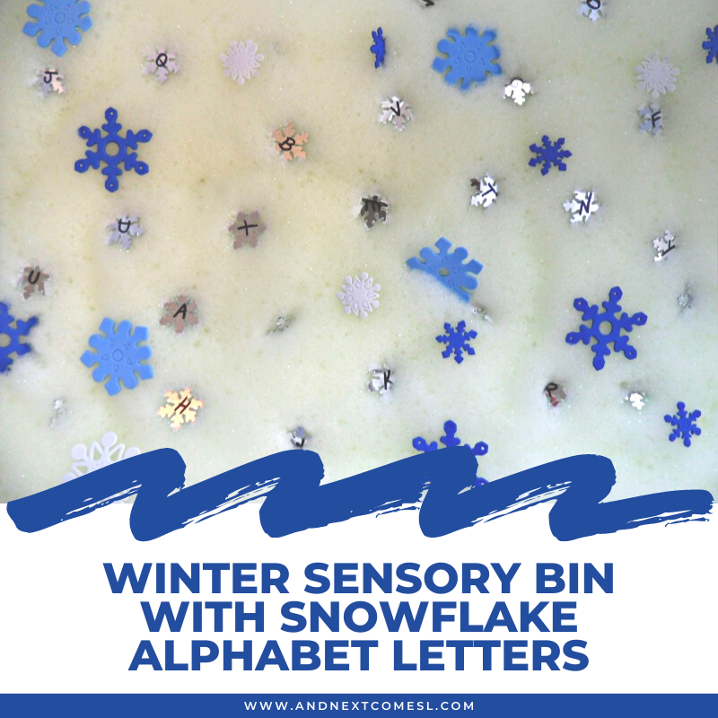 Sparkly Winter Sensory Bin with Snowflake Alphabet Letters | And Next ...