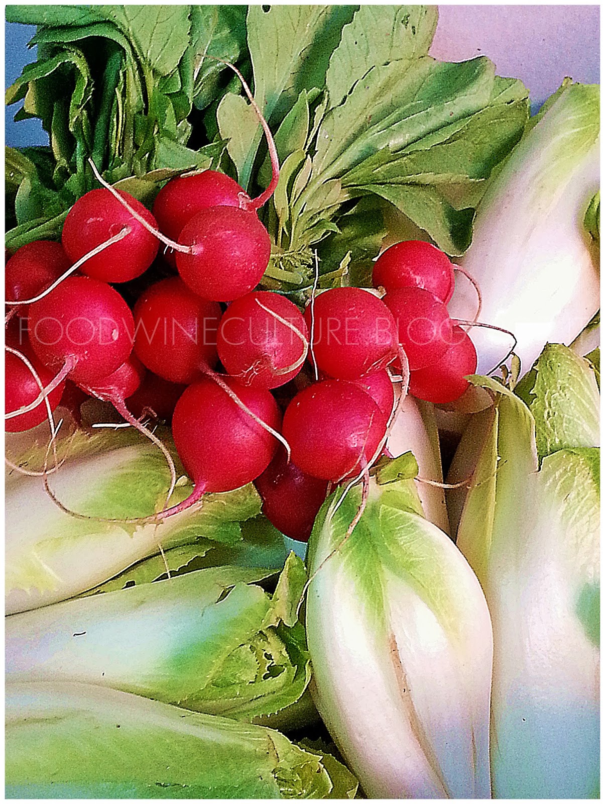 Food Wine & Culture: Ortofrutticola di Schenone - Rapallo