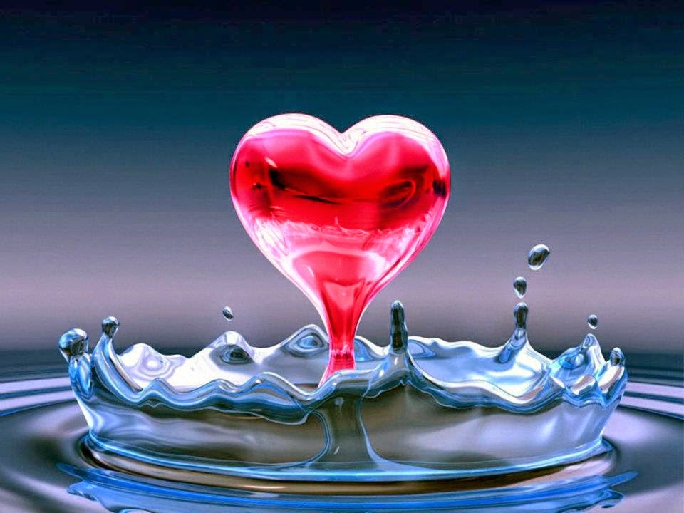 Busco un corazón especial...! | Frases Celebres Diarias