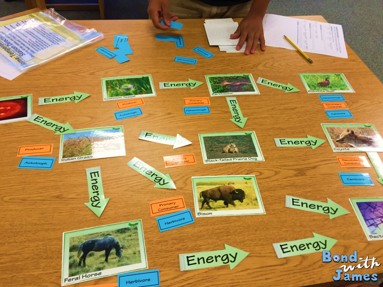 Bond with James: Ecology Unit Activities 1