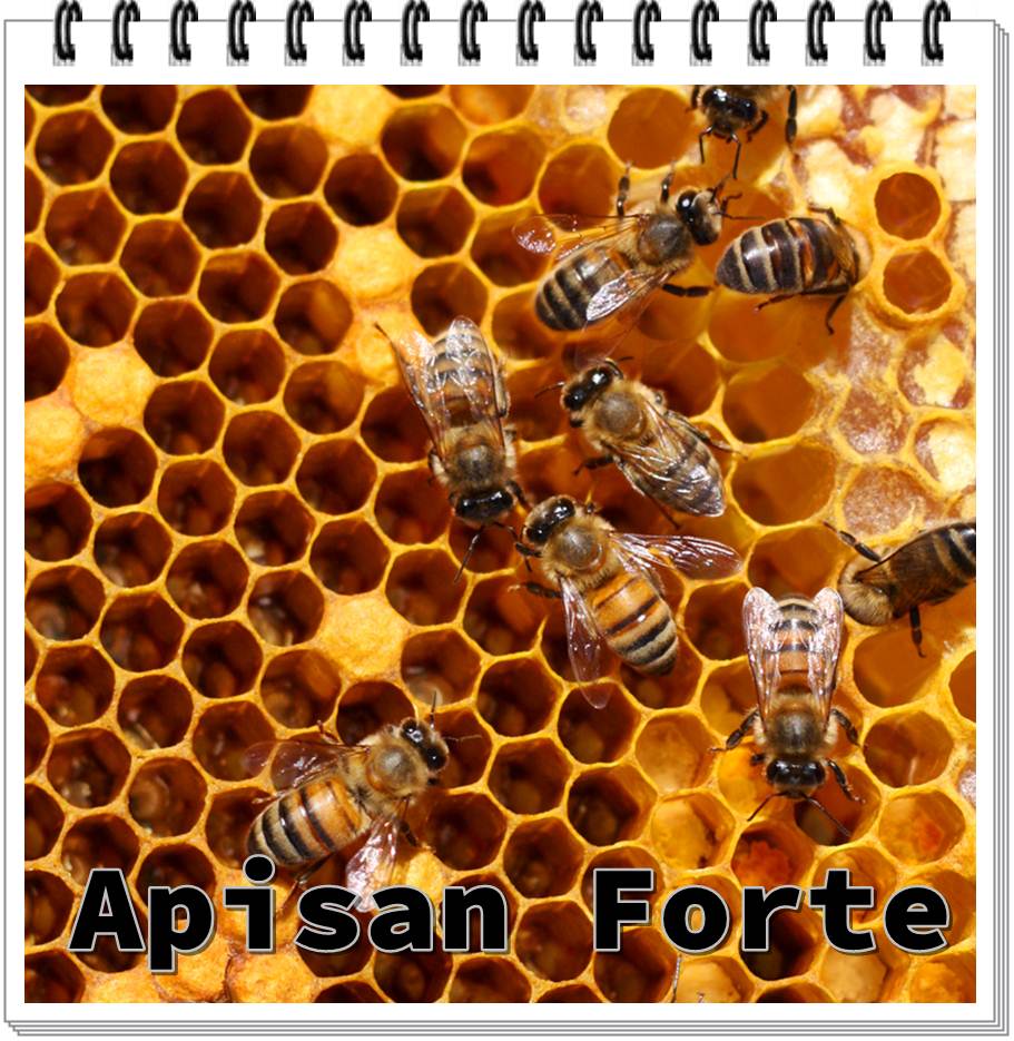 Pareri Apisan Forte - remediul miraculos a lui Victor Bogdan. Puterea ...