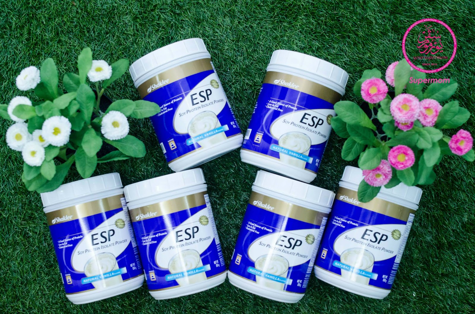 16 Fakta Menarik ESP Shaklee Yang Perlu Anda Ambil Tahu - Diari Vitamin