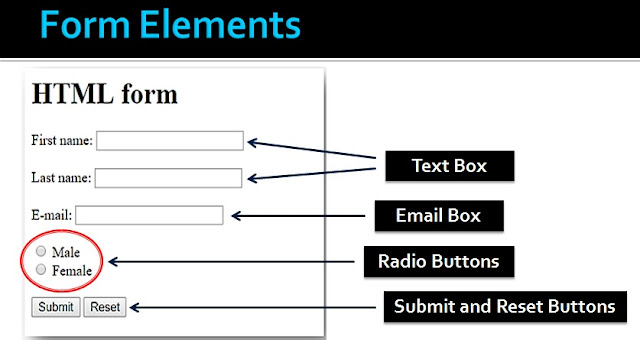 Information Technology (IT) Notes for Std. 12th HSC Board Exam ...