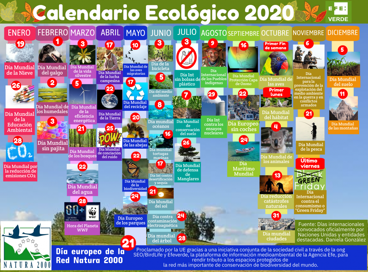 Biovedruna: Calendario ecológico 2020 fechas importantes para el medio ...