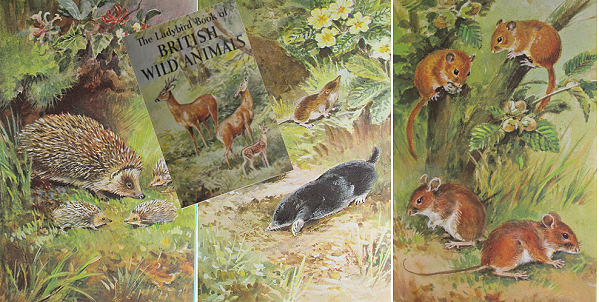 March House Books Blog: Ladybird books; Series 536 Nature