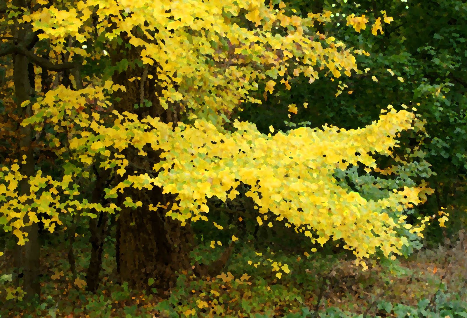 Divine Nature: "Some Trees," A Poem by John Ashbery