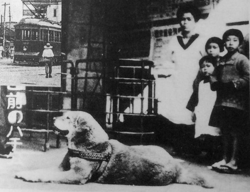 Rare Photos of Hachikō, the World’s Most Loyal Dog ~ Vintage Everyday