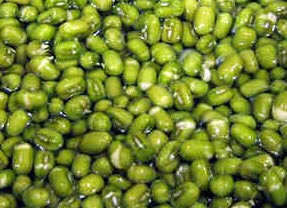 Top 7 Major Vegetable Crops in the Philippines