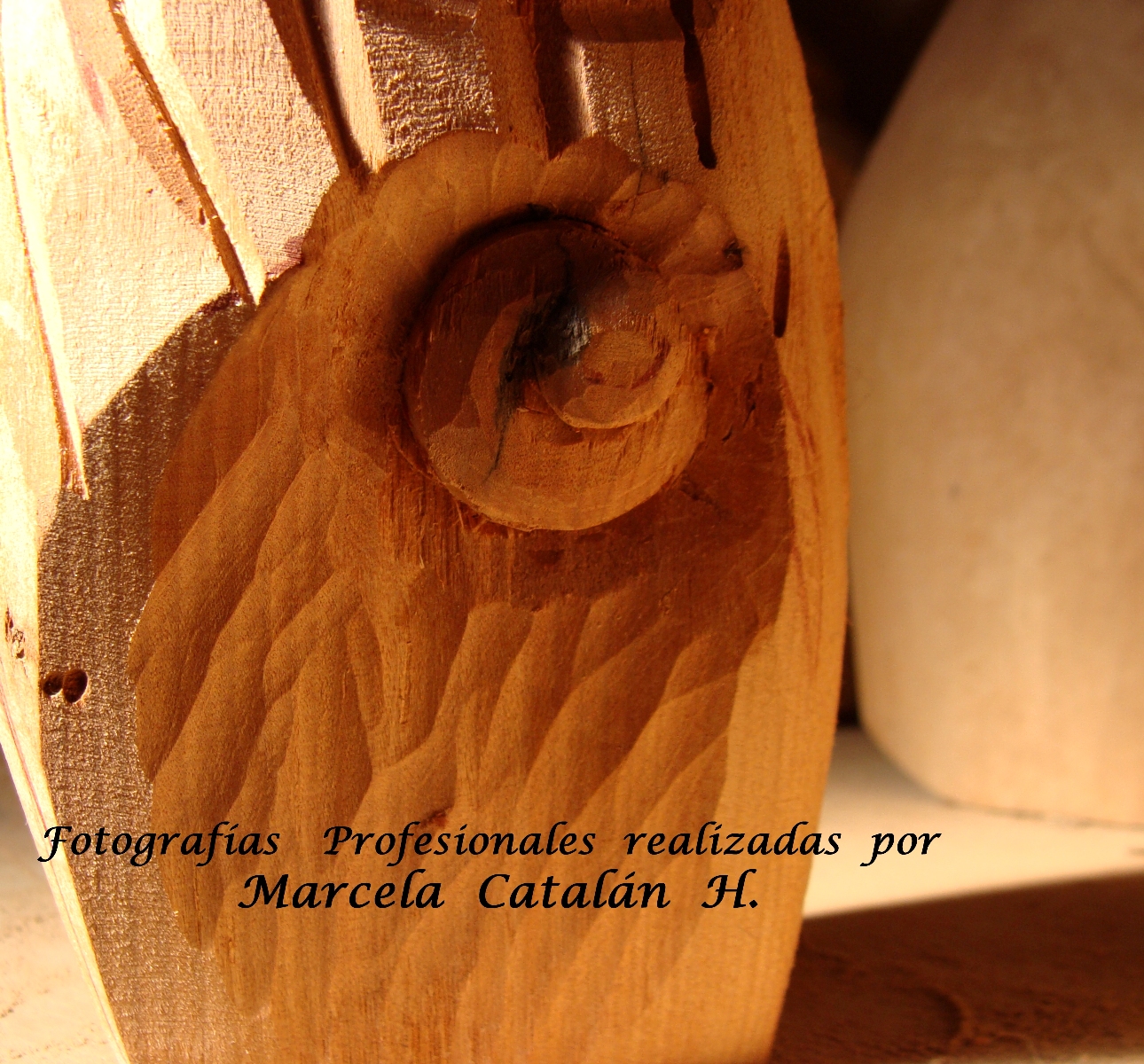 Mascarones de Proa / Manuel Soza Escultor