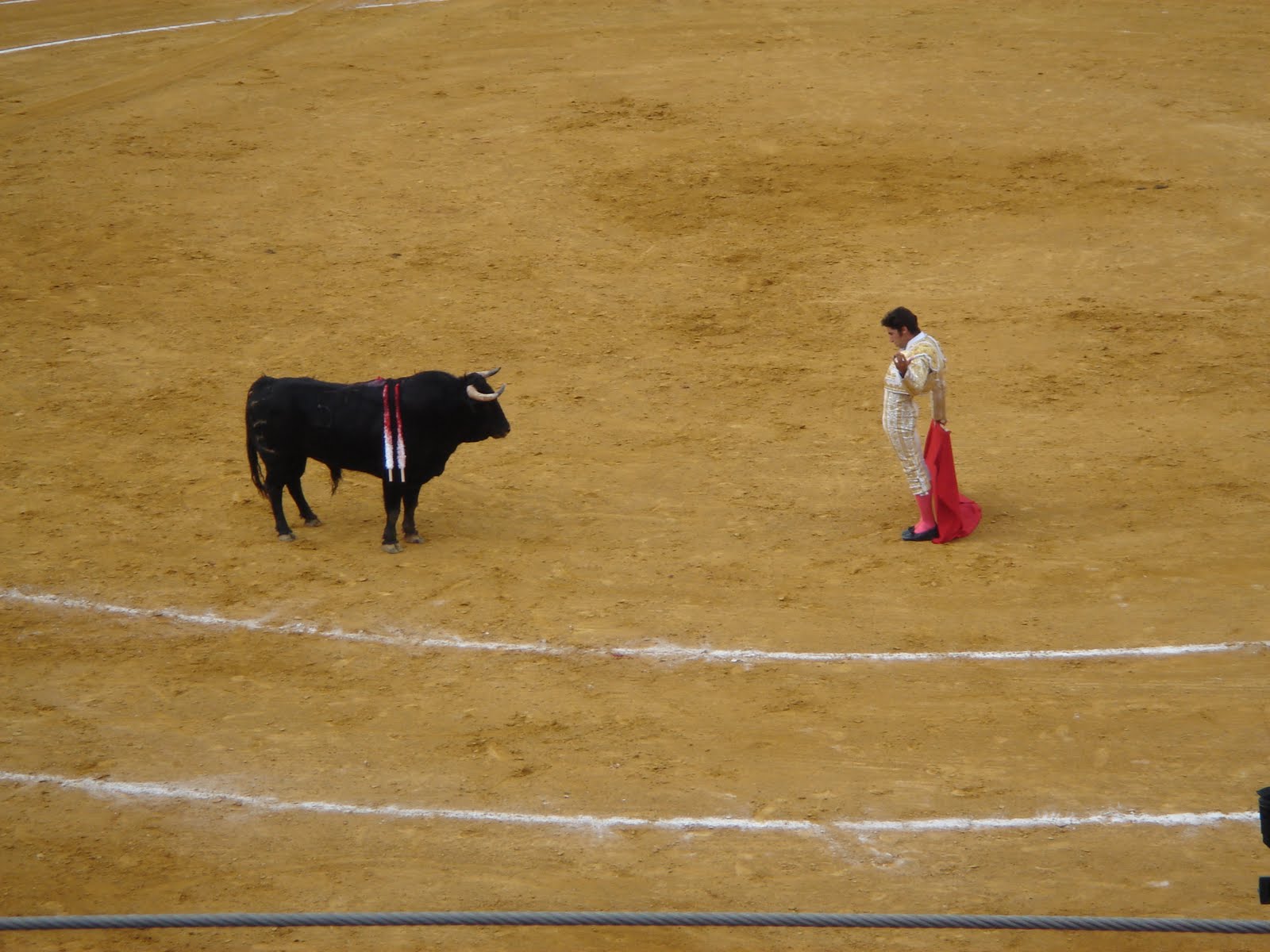 RTgoes2spain: My first bullfight