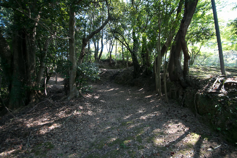 Nakamura Castle (Tosa) -History of island hero (5) Beat of benefactor ...