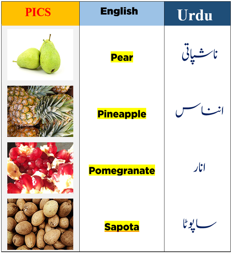Urdu urdu