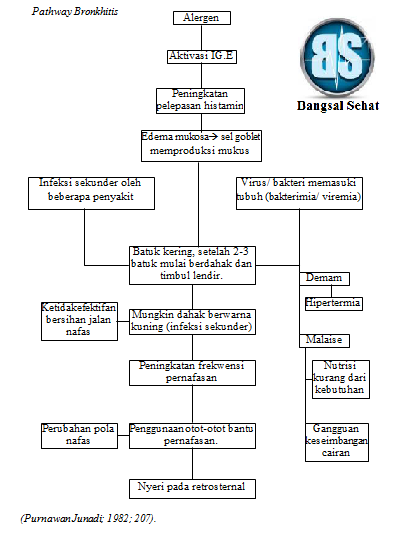 Pathway Bronkitis - Suka Posting