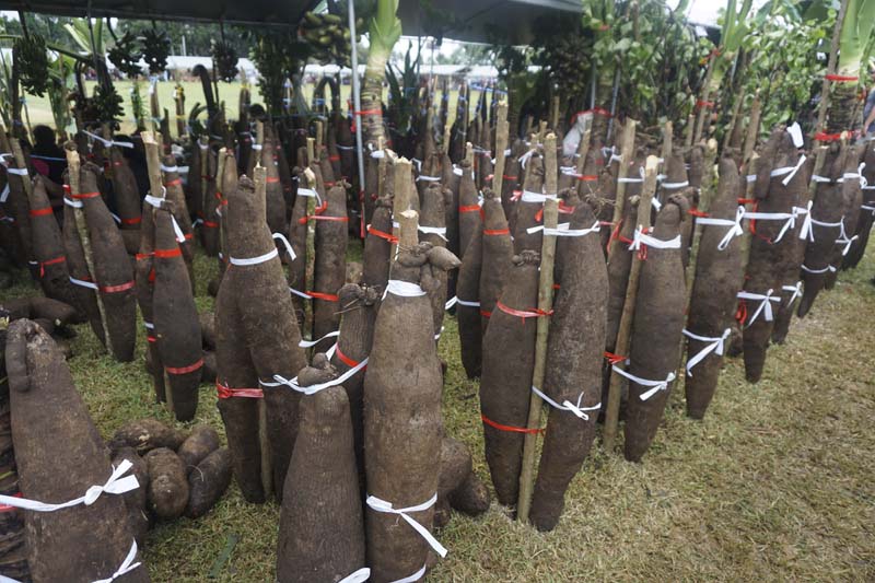 Flying Across the Seas: The King and I