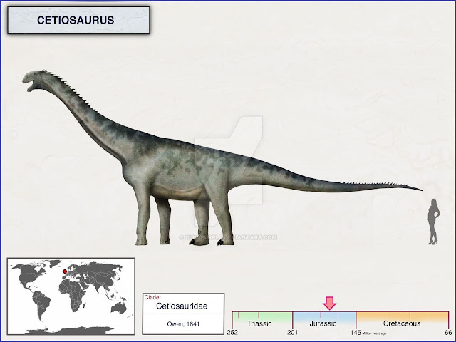 Cetiosaurio