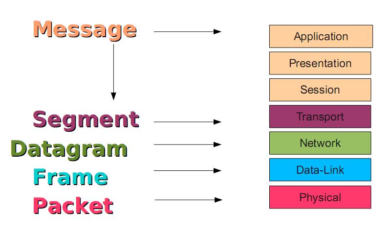 OSI and TCP/IP Models - CCNA tutorials