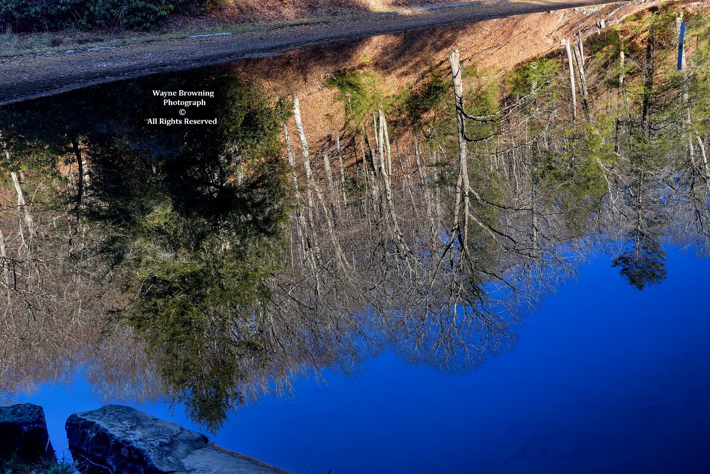 The High Knob Landform: Mid-Winter 2020_High Knob Massif