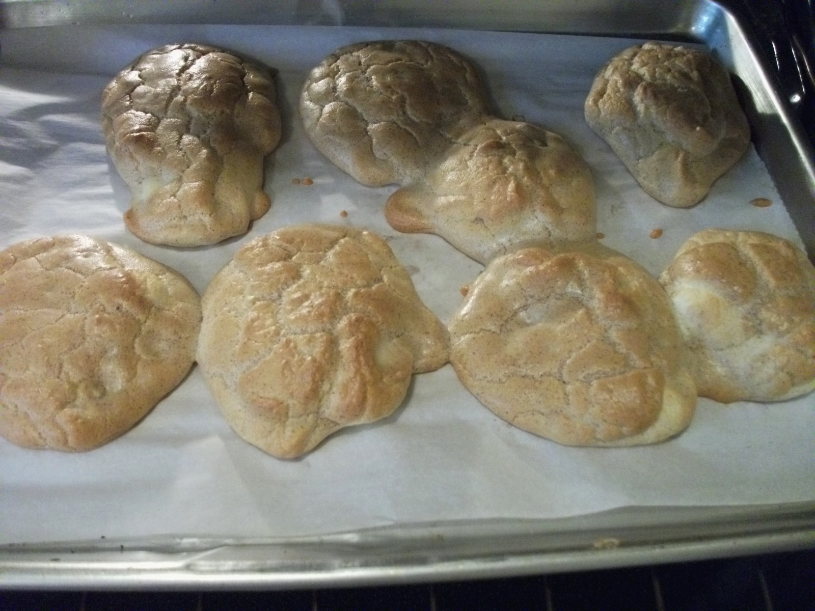 Joans Low Carb Living and Recipes: revolution rolls (RR) or OOPSIE buns ...