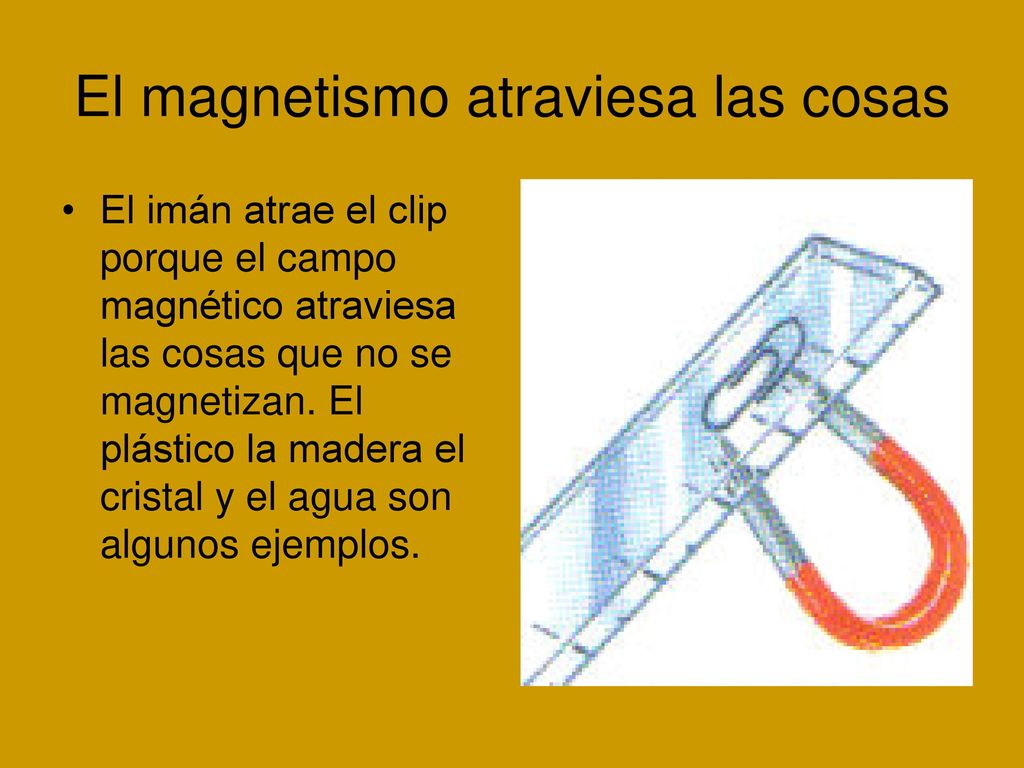 Escuela 21 D.E.15º "J. J. Núñez": 4to Grado - CIENCIAS NATURALES ...