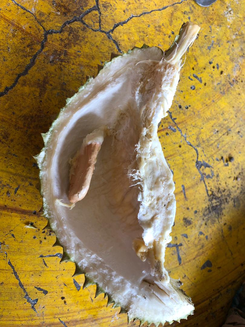 Warisan Petani: Durian D2 Dato' Nina