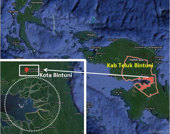 Poestaha Depok: Sejarah Papua (10): Sejarah Teluk Bintuni, Kini ...