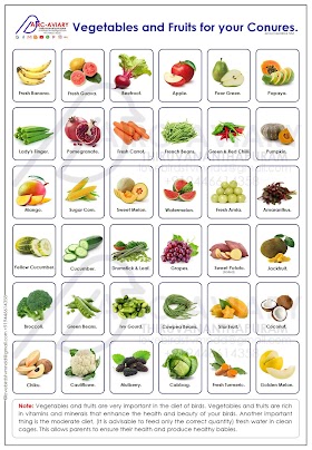 RED-MASKED CONURE AND MITRED CONURE VISUAL DIFFERENCES