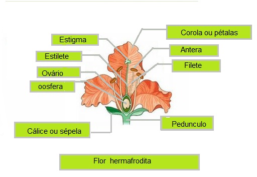 QUIMICABIOLOGICA: 07/01/12