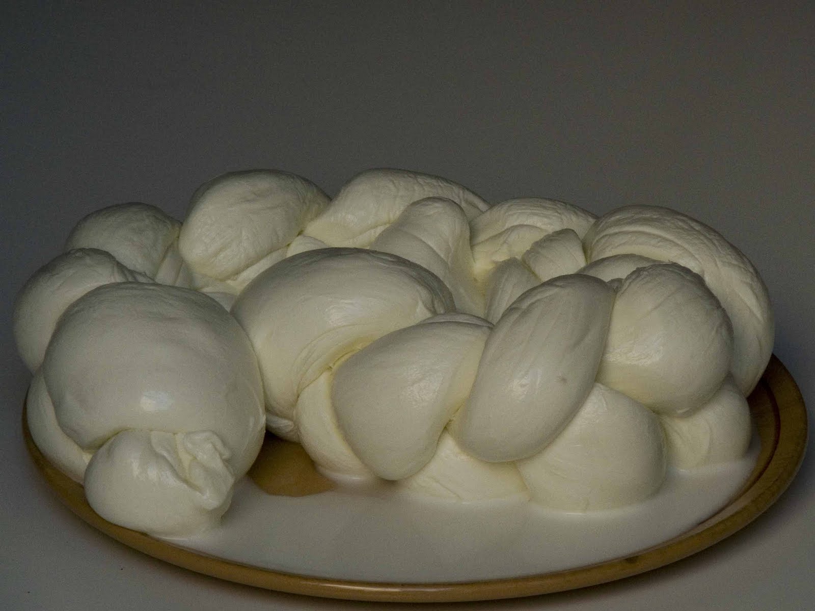 Sud Italia in Cucina: Frisella con Treccia di Mozzarella di Bufala Campana