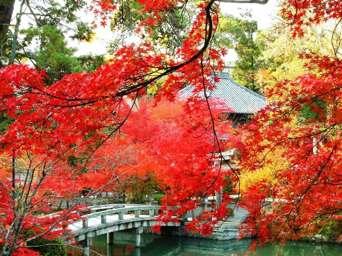 10 Most Stunning Destinations in Asia to Experience the Best of Autumn