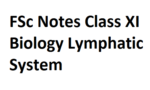 FSc Notes Class XI Biology Lymphatic System