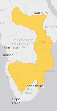 The ANT Blog: Pangolins in Peril - World Pangolin Day 21st February