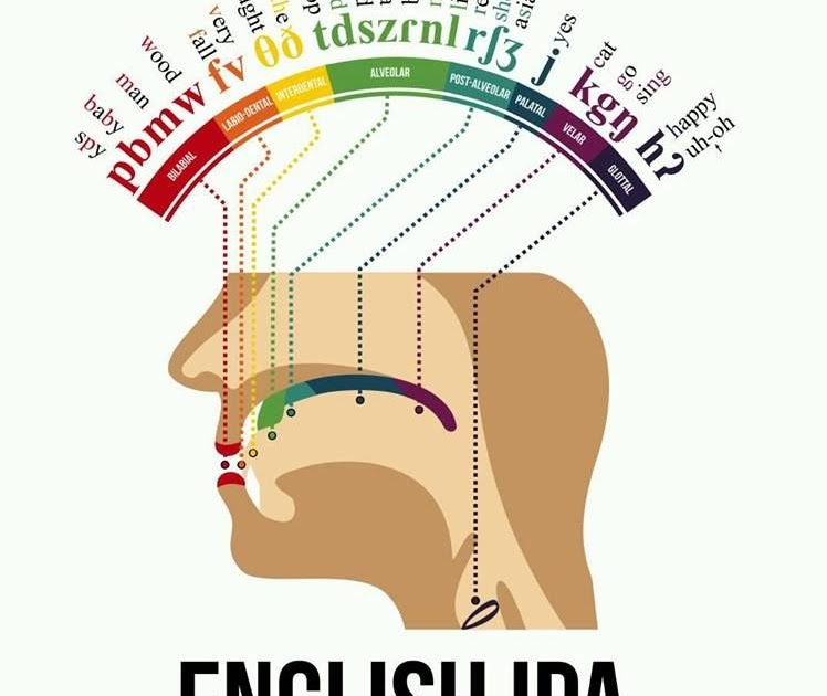 GUDANG BACA Three Types Of Phonetics gudang-baca-three-types-of-phonetics
