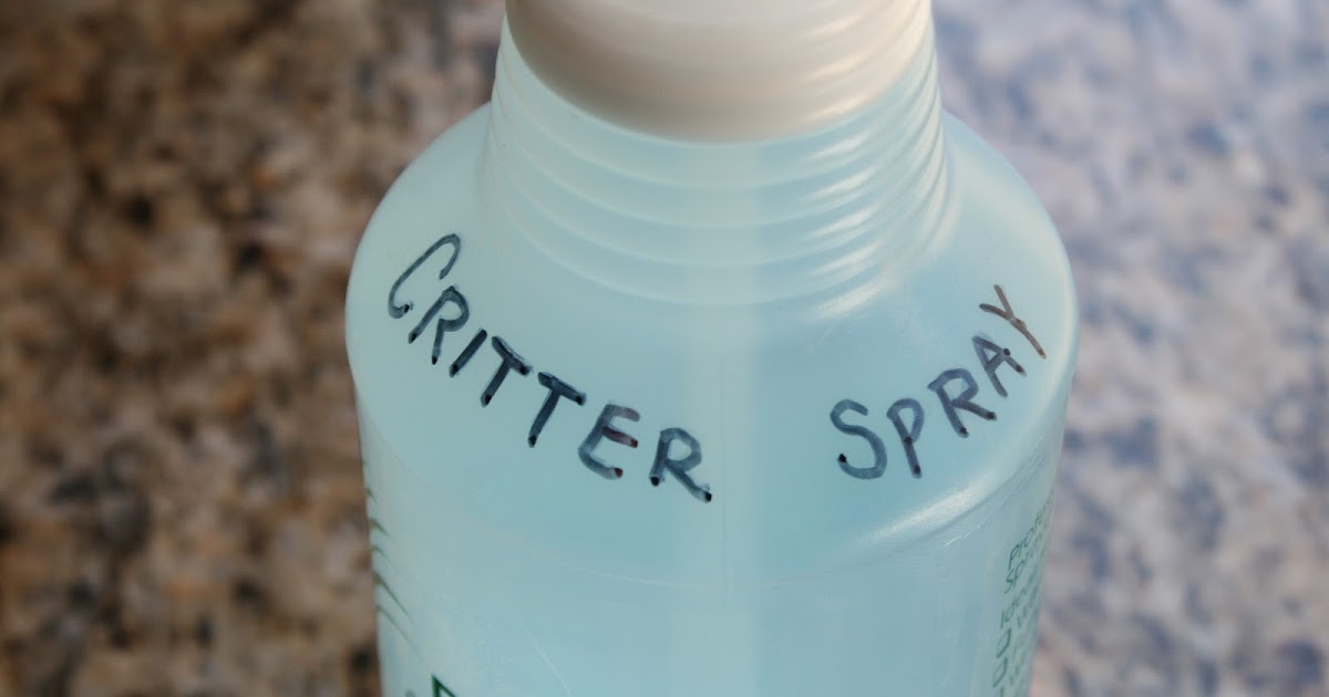 everything to entertain: Critter Spray