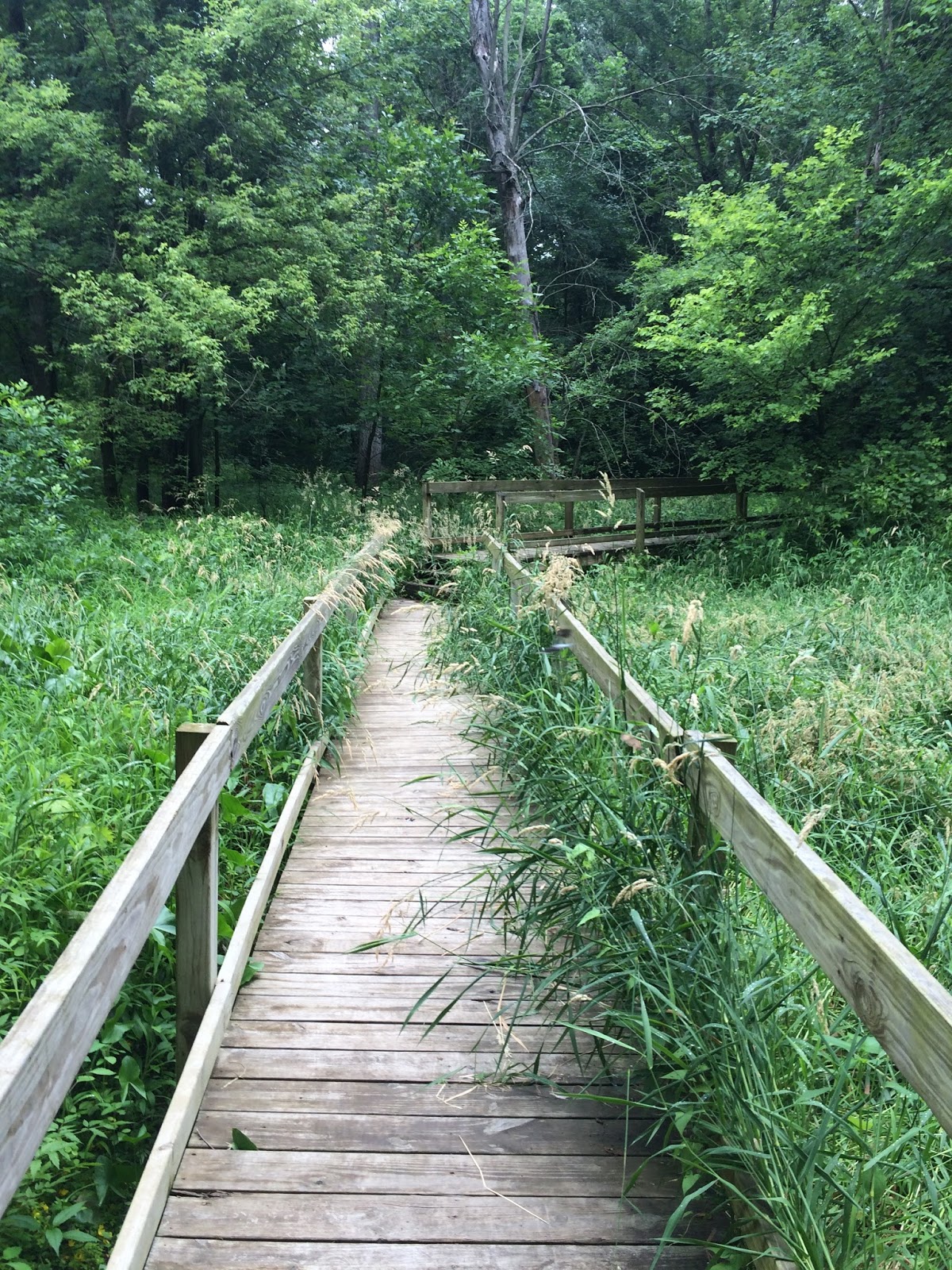 Fort Wayne Run Review: [Review] Metea County Park