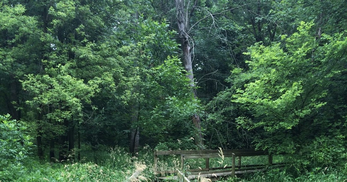 Fort Wayne Run Review: [Review] Metea County Park