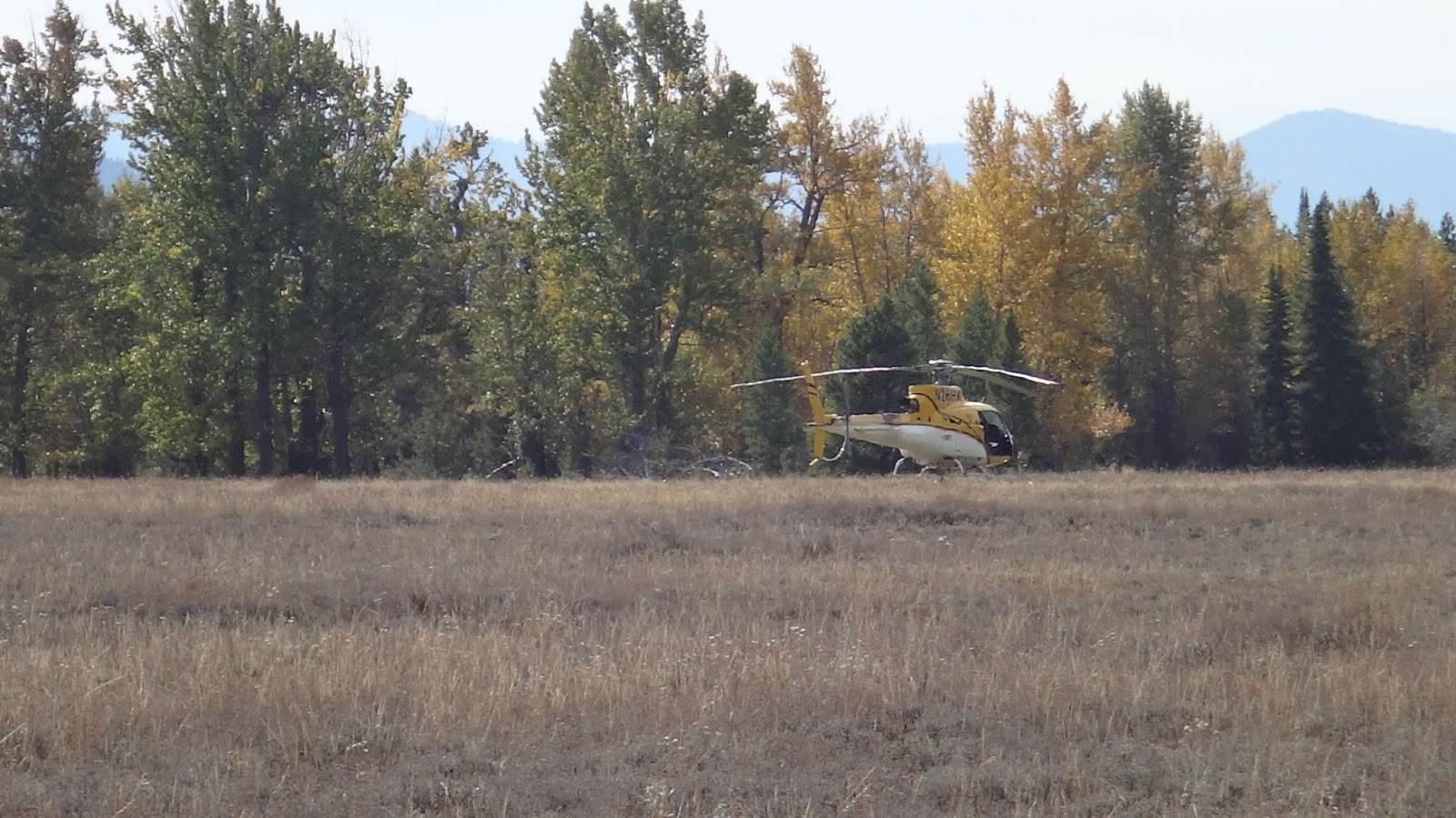 WYOMING WHISKEY: Lupine Meadows Trailhead