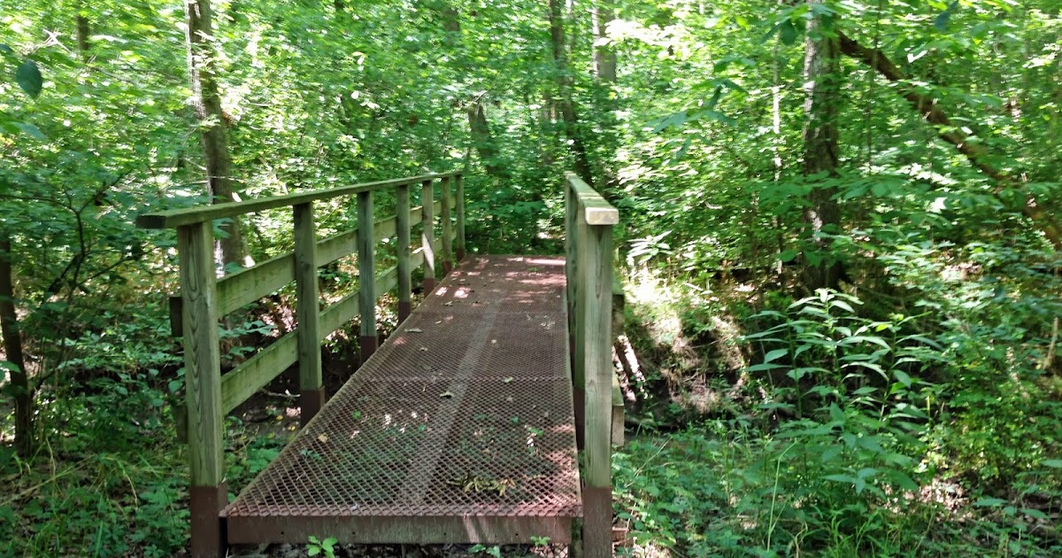 Spice Bush Trail, Robertsville State Park