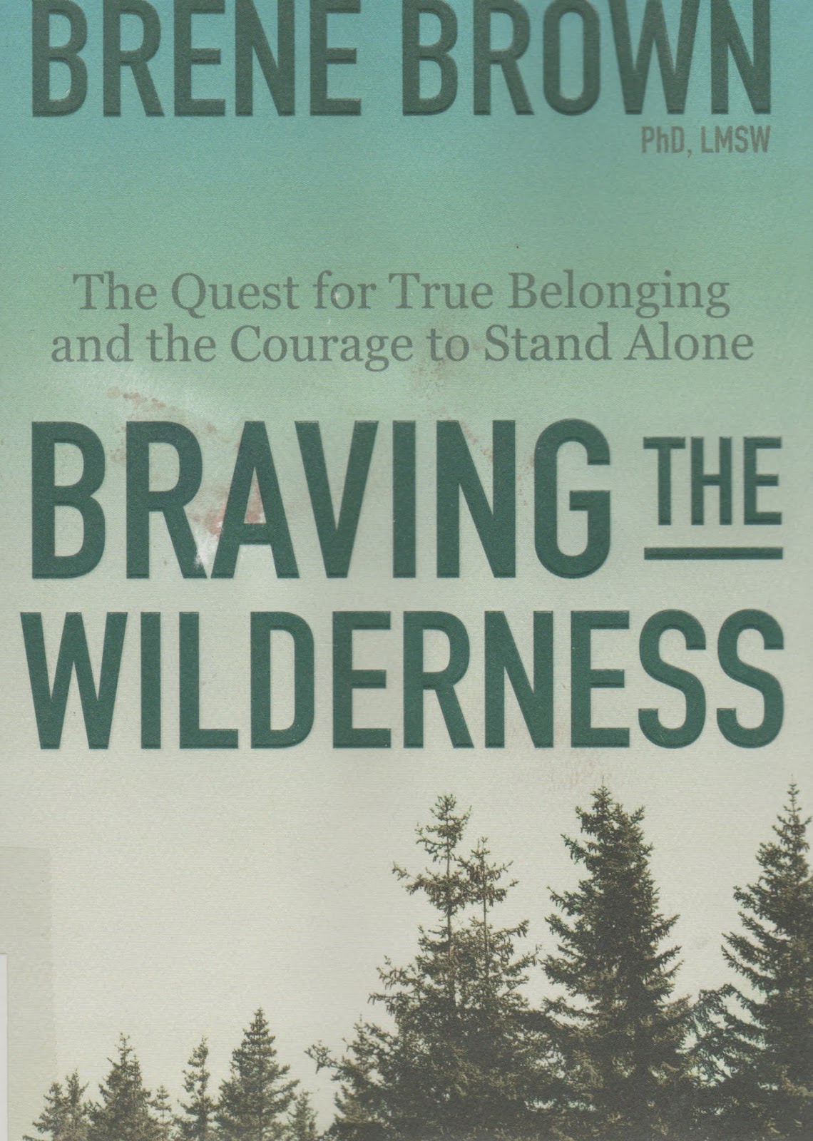 Cozy in Texas: Braving the Wilderness by Brene Brown