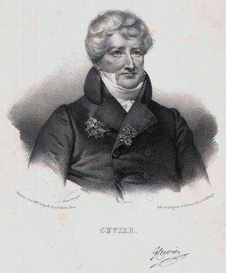 El Vinosaurio: Cuvier, explorador de mundos desaparecidos