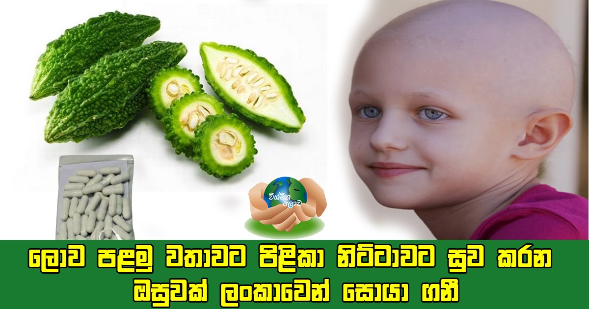 ලොව පළමු වතාවට පිළිකා නිට්ටාවට සුව කරන ඔසුවක් ලංකාවෙන් සොයා ගනී කරවිල ...