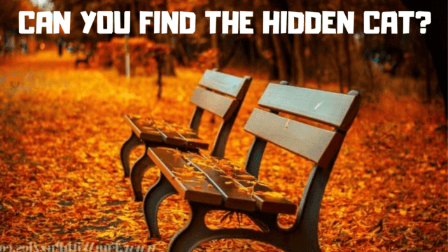 Eye Twisters: Mind-Bending Animal Picture Brainteasers