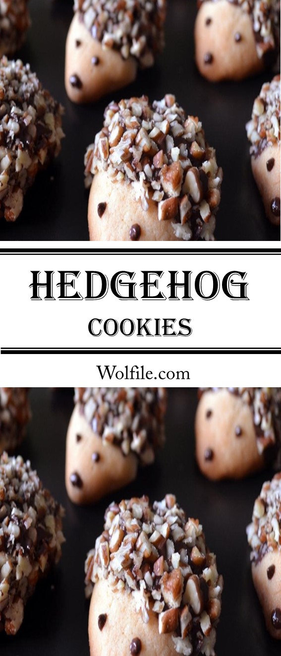 Hedgehog Cookies Recipe